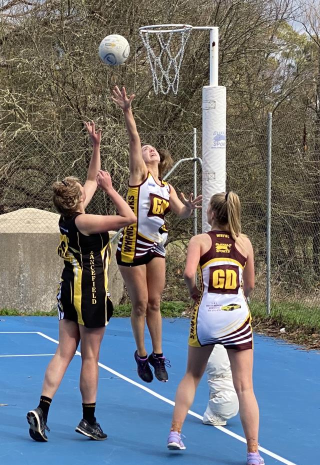 Hawks' season full of positives | Sunbury & Macedon Ranges